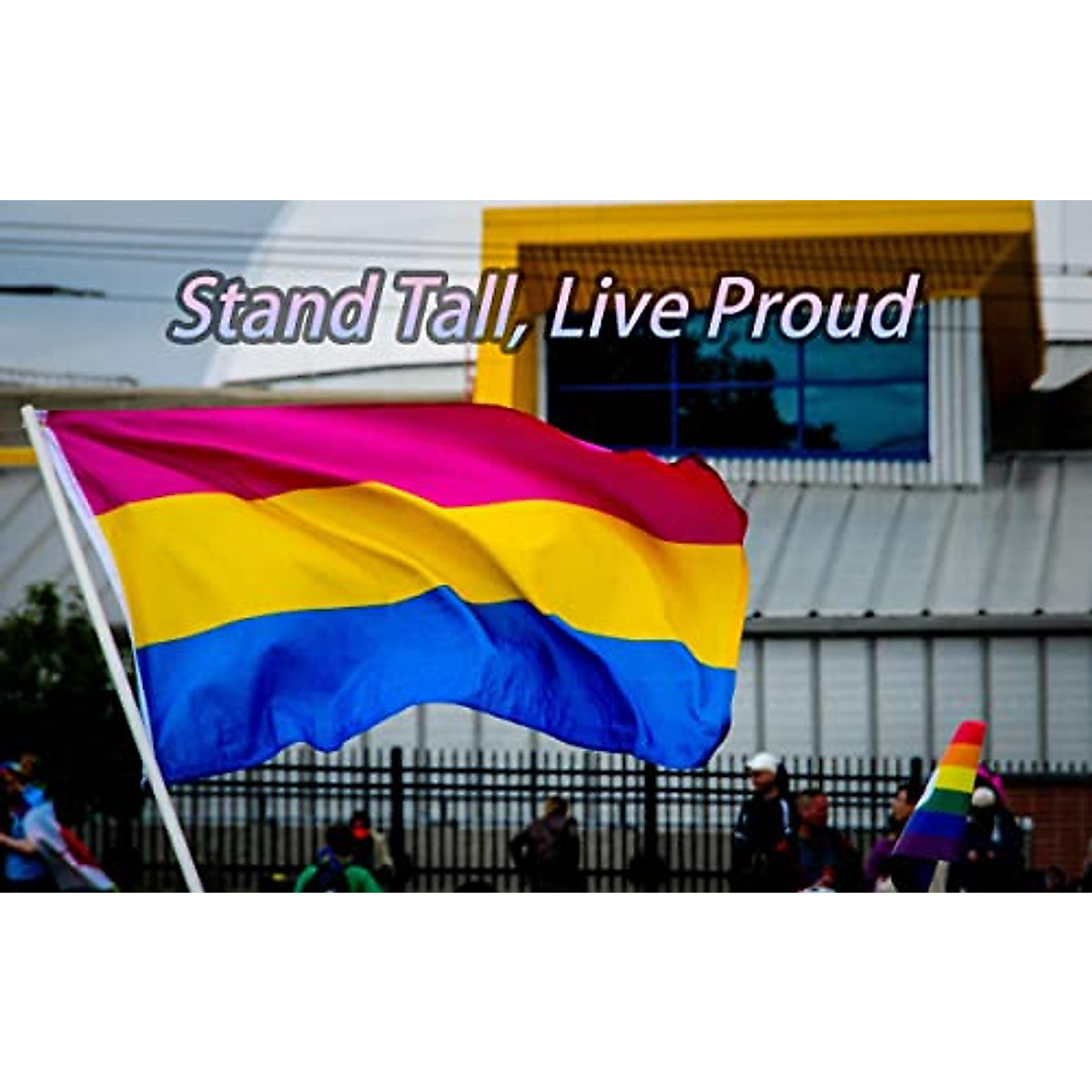 Pansexual Flag - Lgbtq Pride Stuff for Wall, Four Rows of Stitching, with 1pc Pansexual Pin and 2pcs Random Rainbow Stickers, for Lgbtq Parade and Daily Use, 3x5 Ft