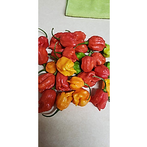 Fresh Super Hot Peppers - Mixed Box: Carolina Reapers, Ghost, Scorpion, ETC.