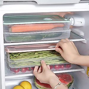 apofly 3PCS Fridge Food Holder Dumpling Storage Box Case Food Organizer Tray Container Single Layer Stackable with Lid Plastic Green