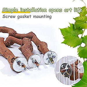 kathson Parrot Perch Stand Bird Cagestand Pole Natural Wild Grape Stick Grinding Paw Cage Accessories for Parakeet Cockatiels Budgies Conure Lovebirds Platform