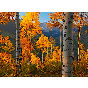 Colorado Calendar 2023 Scenic Landscapes 12X12" Wall Calendar