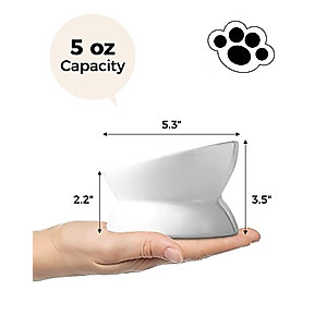 LoeJan Elevated Cat Food Bowl, 5 Oz Ceramic Raised and Tilted Water Bowl, Anti Vomiting and Protect Pets' Spines Dishes for Small Dog, Fat Faced Cat, Kitten (White, 1 Pack)