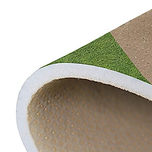 ALAZA American Baseball Field Vintage Area Rug Rugs for Living Room Bedroom 3'x2'