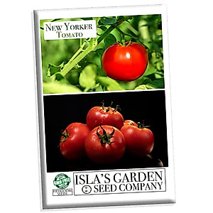New Yorker Tomato Seeds for Planting, 100+ Heirloom Seeds Per Packet, (Isla's Garden Seeds), Non GMO Seeds, Botanical Name: Solanum lycopersicum, Great Home Garden Gift