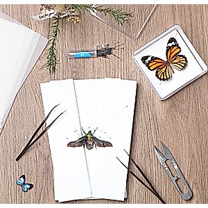 Making Insect Specimen Tools Kit, with Insect Pins,Insect Pinning Board, Wings Pressing Paper,Tweezers, Scissors, Insect Display Case, Insect Collection for Bug Hobbyist/Biology Projects