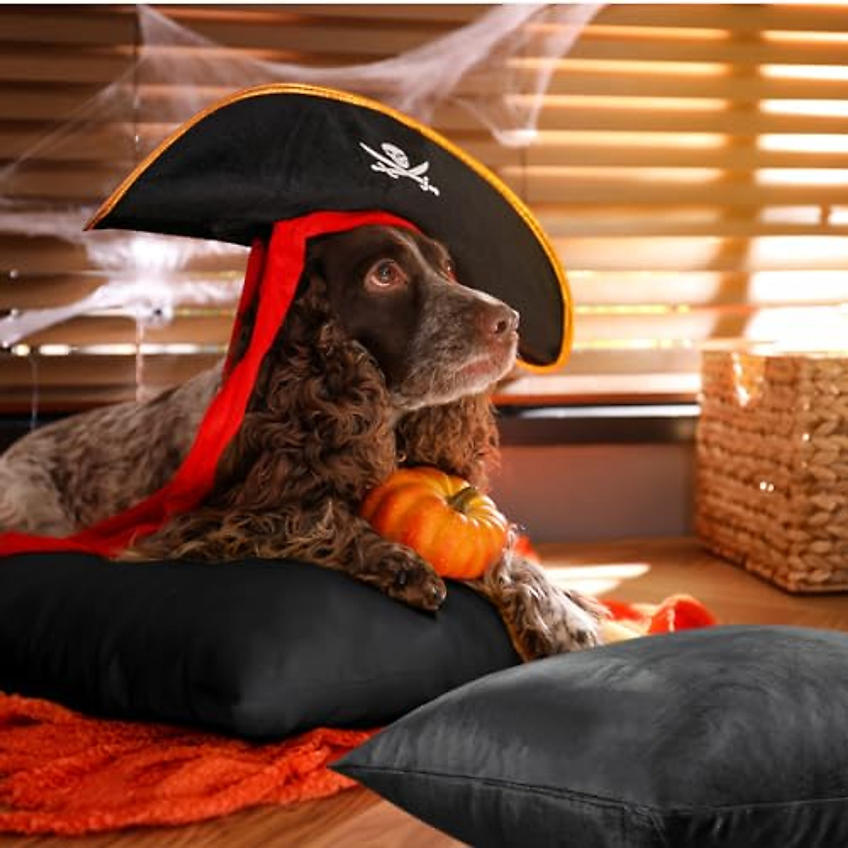 Deconovo Decorative Velvet Throw Pillow Covers for Couch 22x22 in Set of 2, Soft Square Black Cushion Cases for Sofa Living Room Bedroom Home Decor