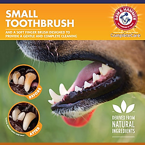Arm & Hammer for Pets Complete Care Puppy Dental Kit | Includes 2.5 oz Dog Toothpaste in Peanut Butter Flavor, Small Dog Toothbrush for Small Dogs and Puppies, and Microfiber Finger Brush