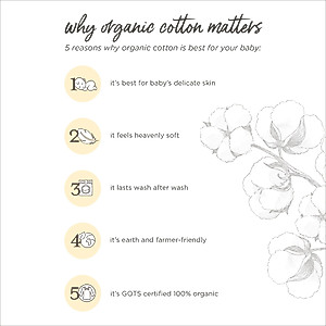 Changing Pad Cover, 100% Organic Cotton Changing Pad Liner for Standard 16" x 32" Baby Changing Mats