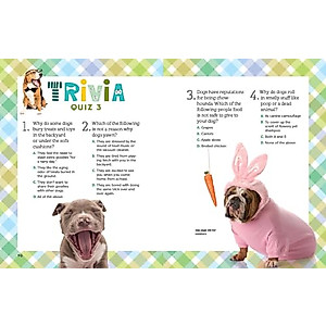 A Kid's Guide to Dogs: How to Train, Care for, and Play and Communicate with Your Amazing Pet!