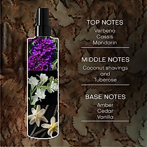 RACHEL ZOE Fearless - Body Mist for Women - Courageous and Unapologetically Bold - Opens with Verbena, Cassis and Mandarin Orange - Blends of Bright Citrus and Tropical Fruits - 10 oz