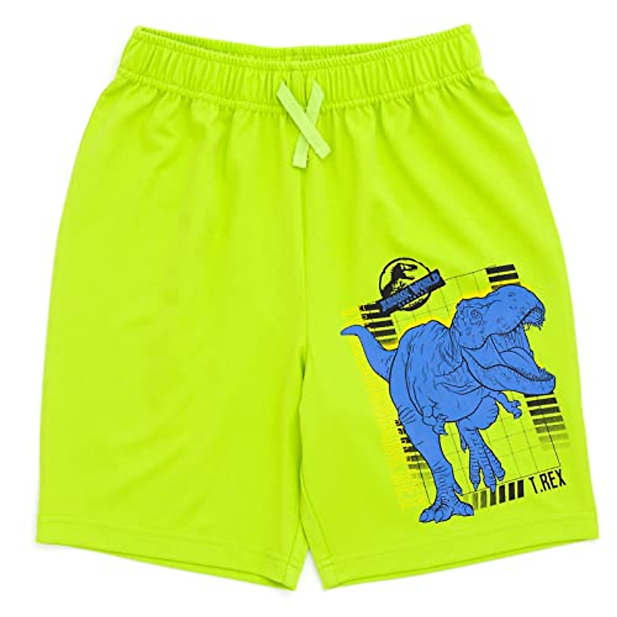 Jurassic World Jurassic Park T-Rex Toddler Boys T-Shirt and Shorts Outfit Set Black/Green 3T