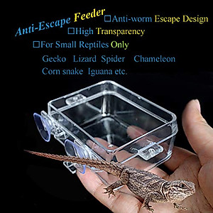 Fuongee Reptile Gecko Feeder Dish Bowl Chameleon Worm Anti-Escape Bowl Suction Cup Feeder for Reptiles, 1 Feeder and 2 Feeding Tong