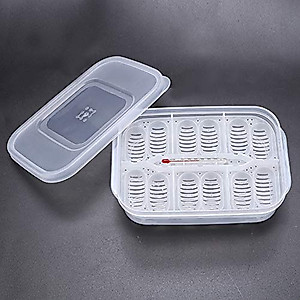 Valentine's Day PresentAndraw Durable Transparent Reptile Incubation Box, Plastic Lizards Breeding Incubator Tray Reptiles Eggs Incubator, Other Reptiles Lizard for Hatching Gecko
