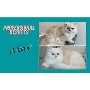 Chubbs Bars Bar - Pet Shampoo Bar for Dogs and Cats - Degreasing Dog and Cat Shampoo That is Gentle and Natural - Green Clover and Aloe Scent - 4 Oz. Bar