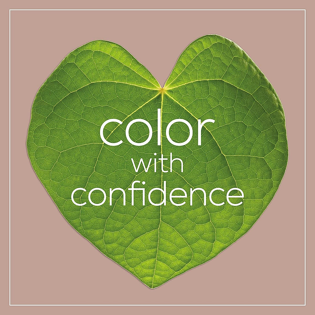 Naturtint Hr Clr Women 2N Brown Black, 5.98 oz