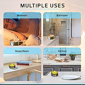 Axiom Pack of 3 Light Scented Tin Candles 12 Hours Long Lasting Combo Apple, Cinnamon, Vanilla Smokeless Stress Relief & Aromatherapy Natural Candle Gift for Mothers Day & Valentine's Day