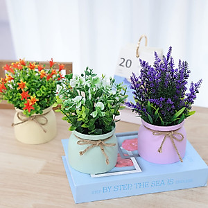 CEWOR Small Artificial Plants, 3 Pack Fake Potted Plants, Small Flowers Artificial Lavender Eucalyptus Boxwood in Plastic Macaron Pots for Home Decor Indoor Outdoor