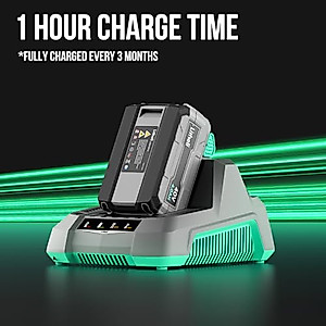 Litheli 40V 4.0AH Lithium Ion Battery Pack,Only for Litheli 40V Tools.