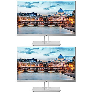HP EliteDisplay E223 21.5 Inch IPS LED Backlit Monitor 2-Pack, FHD 1920 x 1080 (1FH45A8#ABA)
