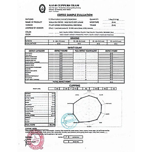 Wallacea Coffee Certified Wild Kopi Luwak Coffee Beans, Civet Coffee, Kopi Luwak From Gayo Sumatra Indonesia, coffee beans (8.8 oz)