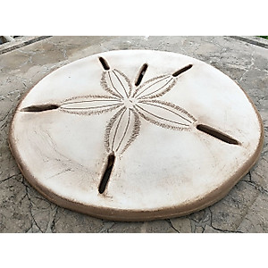 Beach House Decor Sand Dollar Lazy Susan
