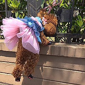 Letter Printing Pet Shirt for Puppy Dogs Cats Lightweight Doggie Tops Pullover Sleeveless Female Pet Clothes Tiny Dog Outfits Pink X-Small