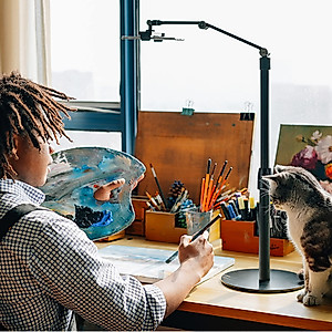 SupeDesk Phone Stand Overhead Recording Stand, Adjustable Cell Phone Holder, Multiangle, 3-Part Adujustable,Horizontal Recording Stand, Compatible with 3.5-11" Phone/iPad Mini/iPhone, Black