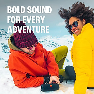 JBL FLIP 5, Waterproof Portable Bluetooth Speaker, Gray