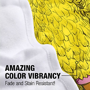 LOGOVISION Sesame Street Big Bird Painted Officially Licensed Fleece Blanket 36" x 58"