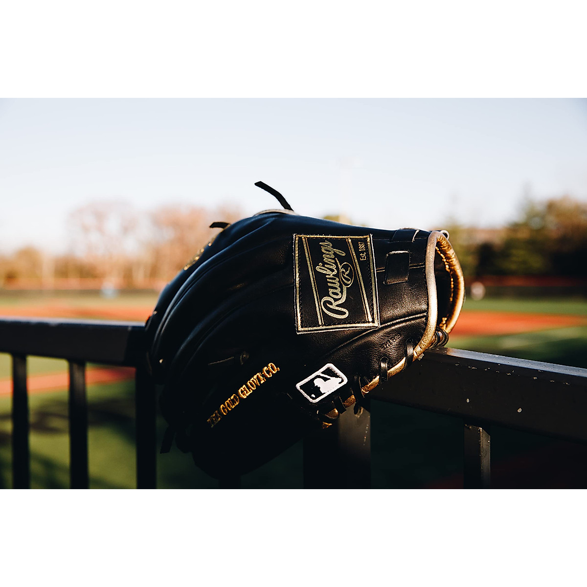 Rawlings | PRO Label Baseball Glove | Limited Edition | RPRO206F-30B | Right Hand Throw