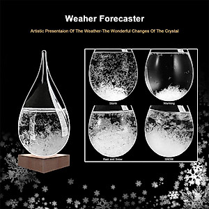 TOTPP Storm Glass Weather Station Weather Forecaster, Stylish and Creative Drop-Shaped Glass Barometer, Home and Office Decorative Glass Bottles, Christmas Gift (S),clear
