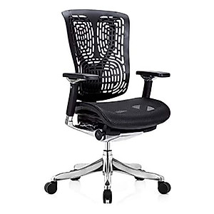 GM Seating Ergobilt High-Back Ergonomic Office Chair - Large Mesh Chair with Lumbar Support & Adjustable Armrest - Swivel Computer Desk Chair with Height Adjustable backrest - Aluminum Base – Black