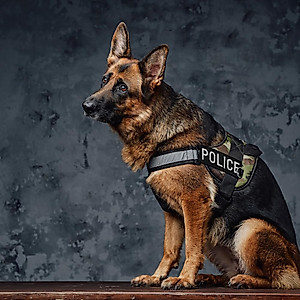 Police Federal Officer Embroidered Patch Set 4x10 and 2x5 Black Gray Hook Back