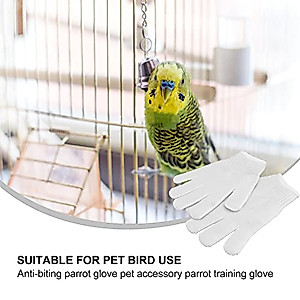 balacoo Anti-bite Bird Handling Gloves Gloves for Bird: Material ensures The Good Protection Effect. Hamster Handling Gloves