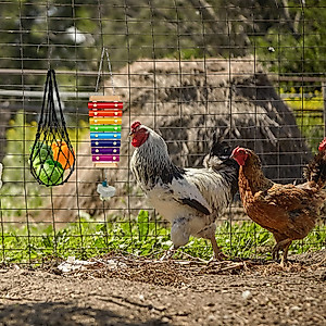 KIEYYRYT 6 Packs Chicken Toys for Coop Accessries, Chicken Swing Toys for Chicken Hens, Chicken Xylophone Toys and Mirror, Vegetable Hanging Feeder, Veggies Skewer