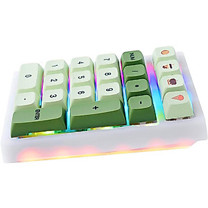 BOYI TD21 Hot Swappable Numpad,21 Keys Mini Numpad Portable Keypad Bluetooth 5.0/2.4GHz/Wired Number Pad Keyboard PBT Keycaps RGB Backlit Type-C Mini Keyboard (Matcha Green XDA Keycaps)