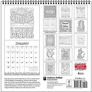 Calm the F*ck Down 2023 Coloring Wall Calendar: Irreverent Adult Coloring
