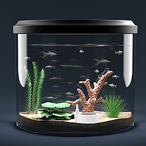 POPETPOP Round Fish Tank Aquarium Air 5CM Round Oxygen Fish Tank Air Oxygen Diffuser for Hydroponics Aquarium Fish Tank OUL Diffuser Air Diffuser Air Diffuser Air Diffuser Air Diffuser