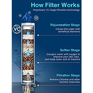 Cobbe 12 Inch Rain Shower Head Combo, High Pressure Handheld Shower Head with Filter - Upgrade Extension Arm Height Adjustable - 9 Spray Filtered Shower Head, Matte Black