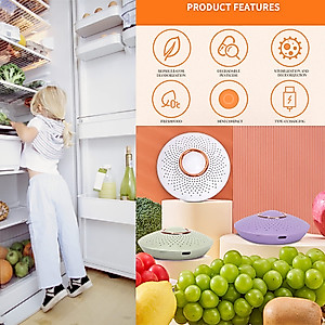 WARMON Refrigerator Deodorizer,Portable USB Rechargeable Refrigerator deodorizer, Outperforms Than Baking Soda and Charcoal Bags,Fridge and Freezer Odor Absorber to Keep Food Fresh Longer(Lilac)