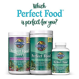Garden of Life Whole Food Vegetable Supplement - Perfect Food Green Superfood Dietary Supplement, 300 Count