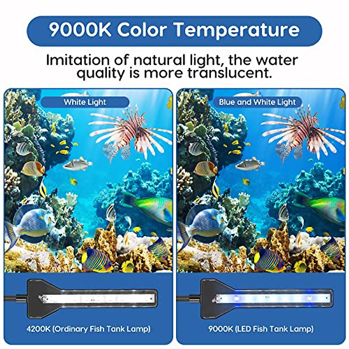 FYD LED Aquarium Light, 2.9W Clip on Aquarium Light Suitable for Uncovered Aquariums Under 15 Inches, Fish Tank Light with White & Blue Lights, Aquarium Plant Light for Reef Coral Aquatic Plants