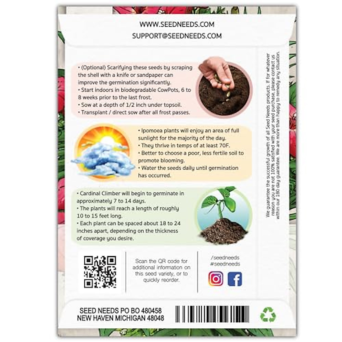 Seed Needs, Cardinal Climber Seeds - 100 Heirloom Seeds for Planting Ipomea Quamoclit - Open Pollinated & Untreated, Attracts Pollinators (2 Packs)