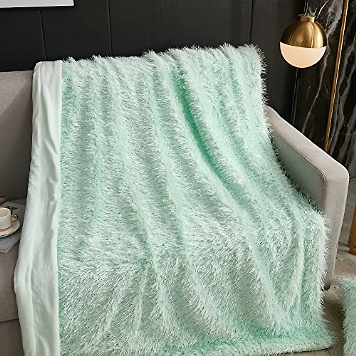 WERDIM Plush Faux Fur Throw Blanket Aqua - Luxury Soft Fluffy Fuzzy Sherpa Velvet Throw Blankets for Couch Sofa Bed, 50x70 inches