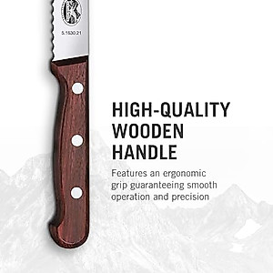 Victorinox Bread Knife - Serrated Bread Knife for Kitchen Accessories - Cut Bread, Pastries & More - Wooden Handles, 8.25"