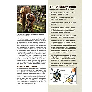 The Original Horse Bible, 2nd Edition: The Definitive Source for All Things Horse (CompanionHouse Books) 210 Breed Profiles, Training Tips, Riding Insights, Competitive Activities, Grooming and Health