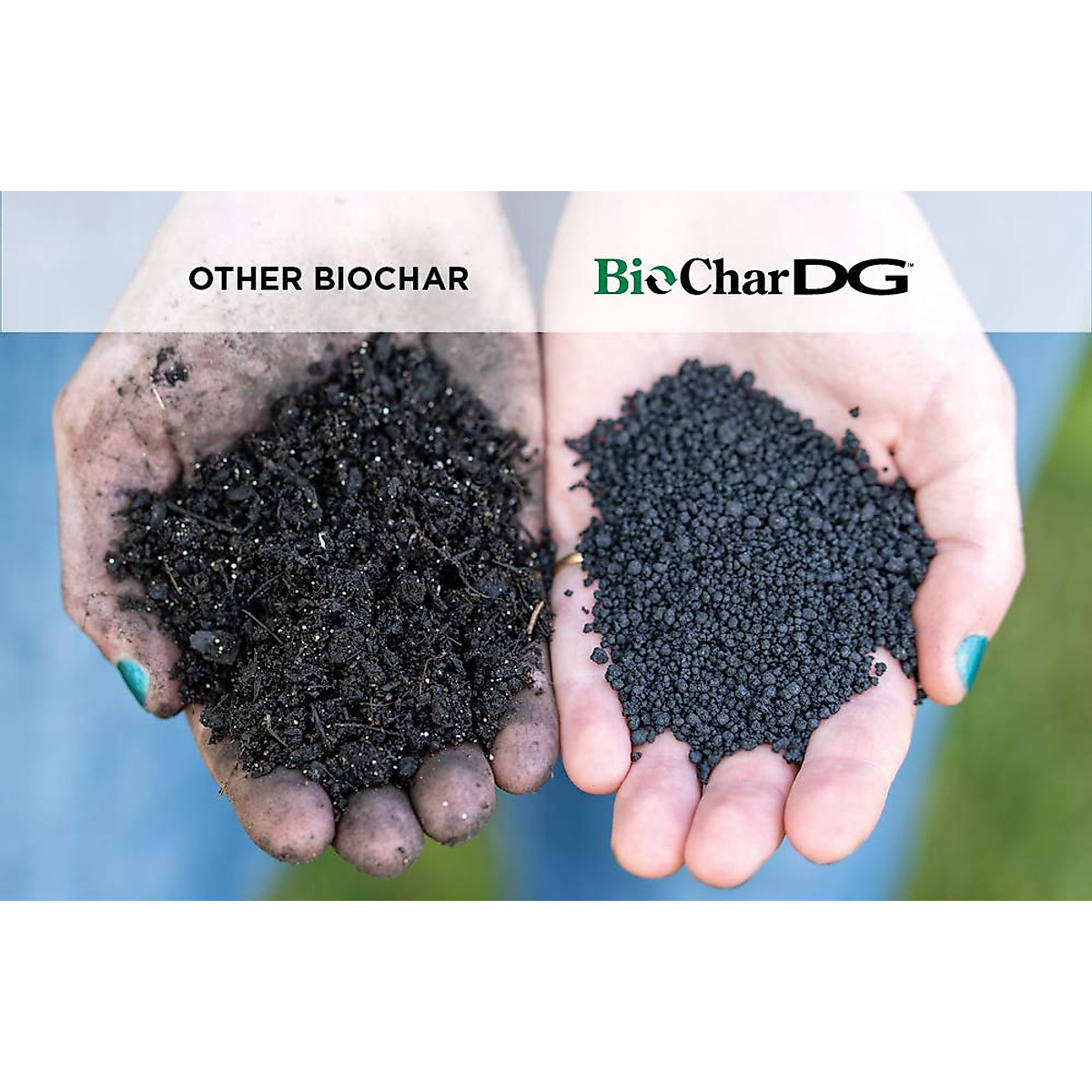 The Andersons BioChar DG Organic Soil Amendment - Covers up to 15,000 sq ft (30 lb)