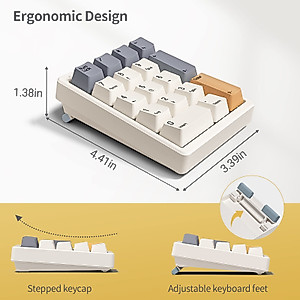 Kisnt Mechanical Number Pad,Hot Swappable Numpad Wired USB 17 Keys Keypad White Backlit Numeric Keypad with PBT Keycaps for Laptop PC Compact Keyboards(Retro Beige, Blue Switch)