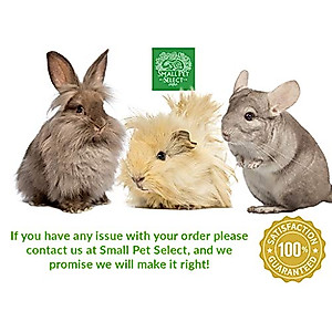 Small Pet Select - Timothy Hay Flower Tips, 10 Grams