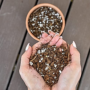 Tropical House Plant Potting Mix (2 Quarts); for All Types of Indoor House Plants